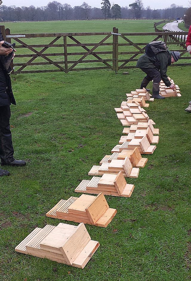 South Lancashire Bat Group’s Bat Box Scheme In Tatton Park, Cheshire | Phlorum